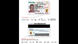 Florida to roll out new driver's licenses, ID cards in August | WJAX-TV