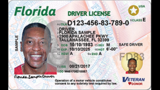 Florida to roll out new driver's licenses, ID cards in August | WJAX-TV