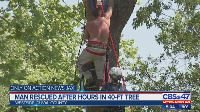 Westside Jacksonville man rescued after getting stuck in tree | WJAX-TV