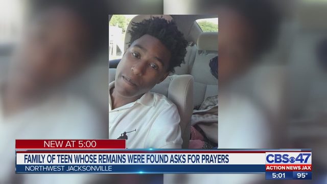 JACKSONVILLE HUMAN REMAINS: Skeletal remains found in woods in ...